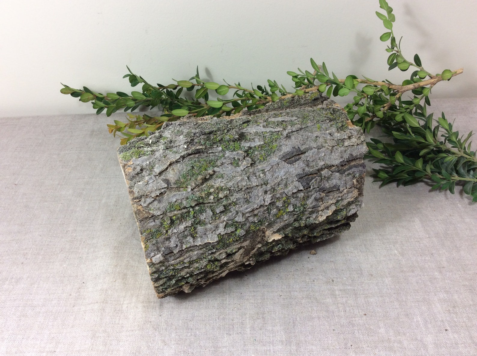 8" Tall X 4" Diameter Log Pillar Woodland Floral Decor Rustic - Etsy