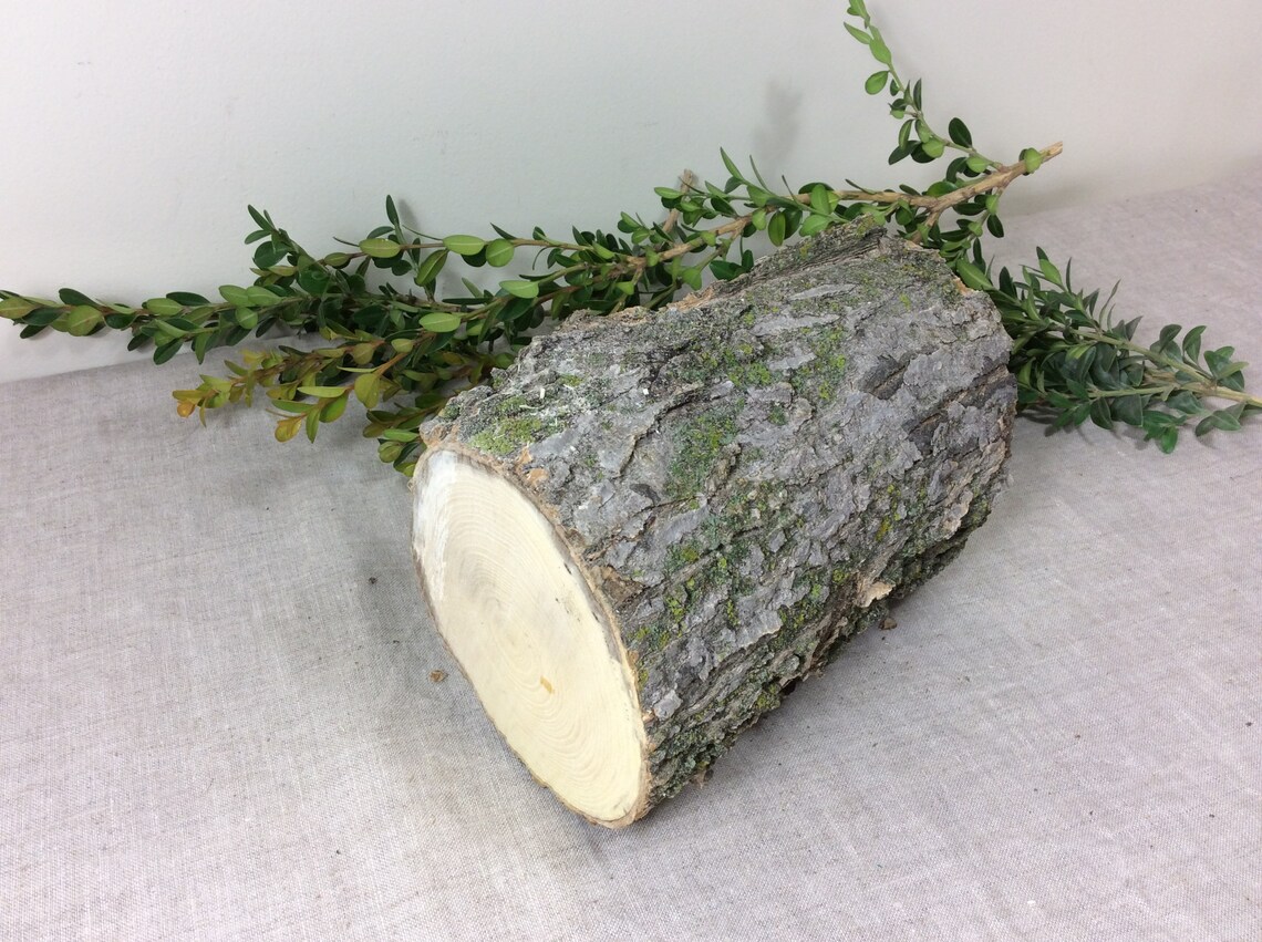 8" Tall X 4" Diameter Log Pillar Woodland Floral Decor Rustic - Etsy