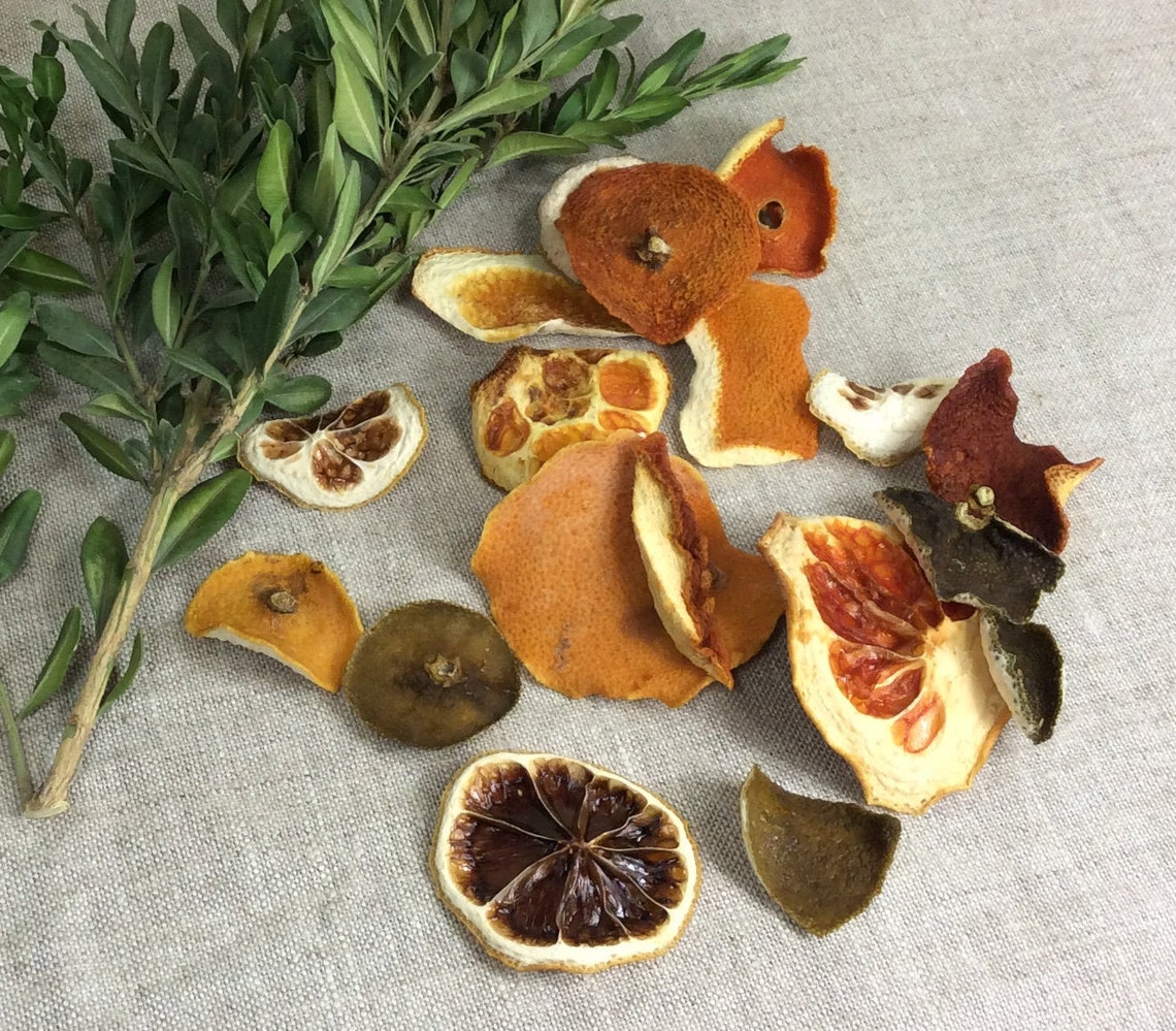 40 Peels Imperfect Orange Slices Lemon Lime Grapefruit Dried | Etsy