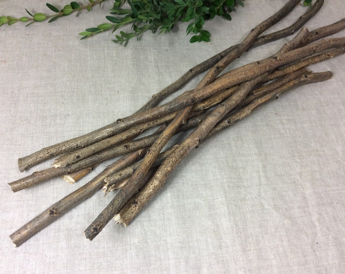 Branches Twigs Floral Decor Craft 1216 1/2 Rustic Bunch Sticks Long ...