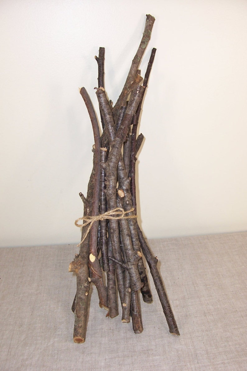 Branches Twigs Floral Decor Craft Rustic Wedding Bouquet Bunch Sticks ...