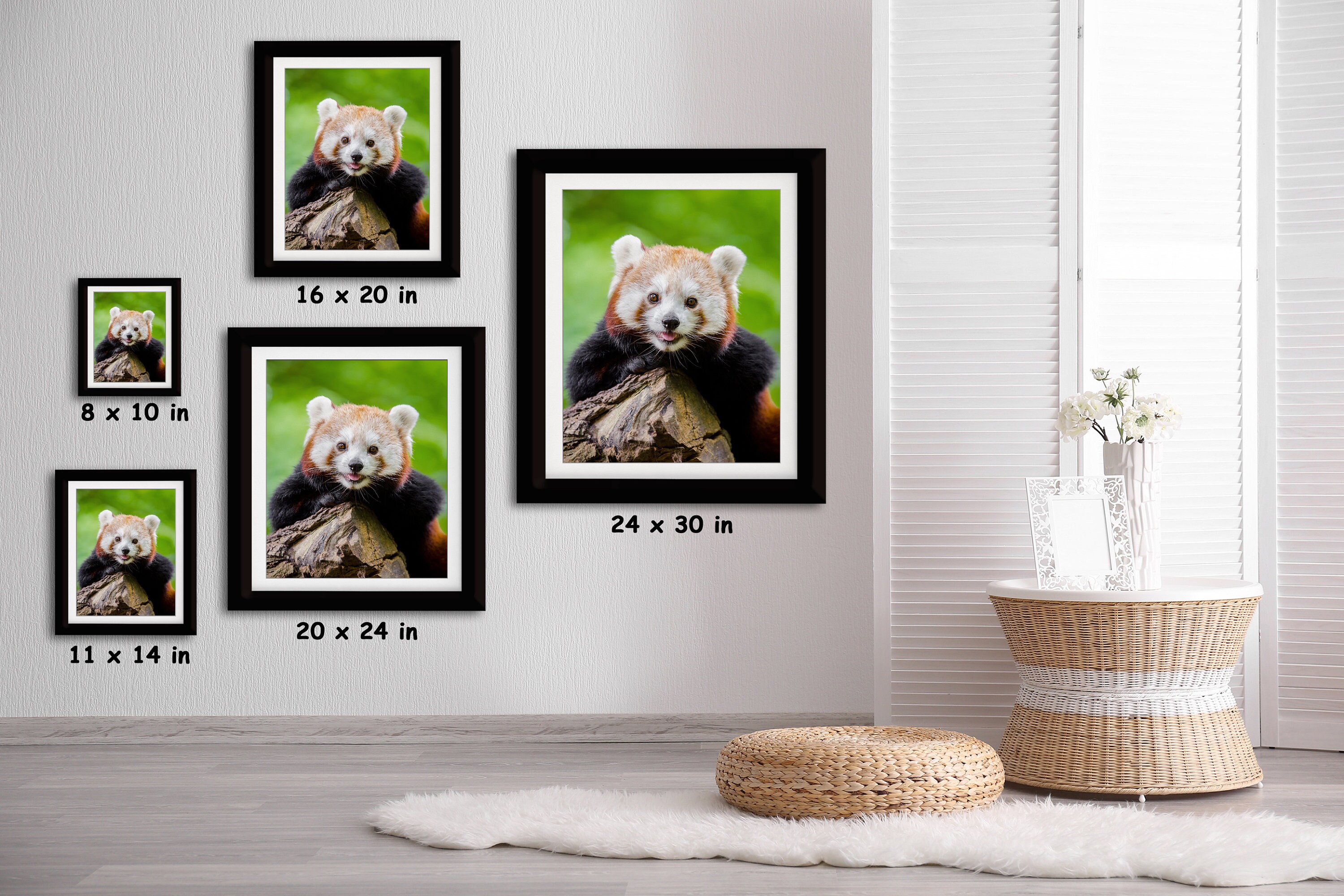 Panda Gift, Panda Bear Picture, Red Panda Photo, Animal Wall Art, Girls ...