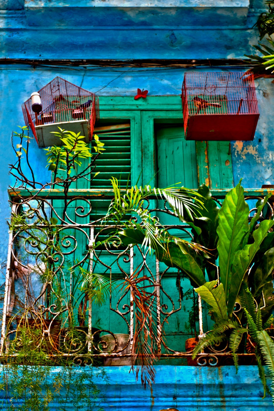 Cuba Wall Art, Cuba Photography, Havana Cuba, Bird Cages, Balcony ...