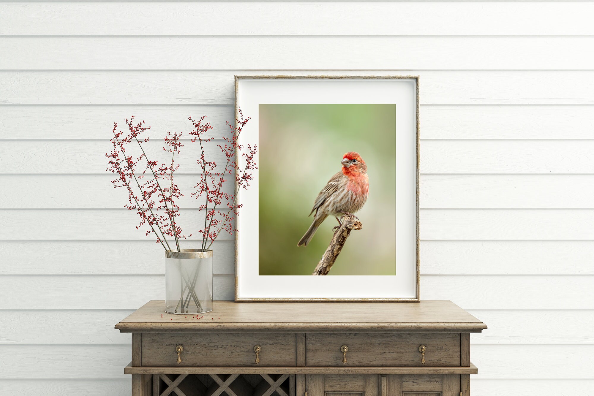Red Finch Bird, Finch Bird Picture, Finch Wall Art, Bird Wall Art, Bird ...