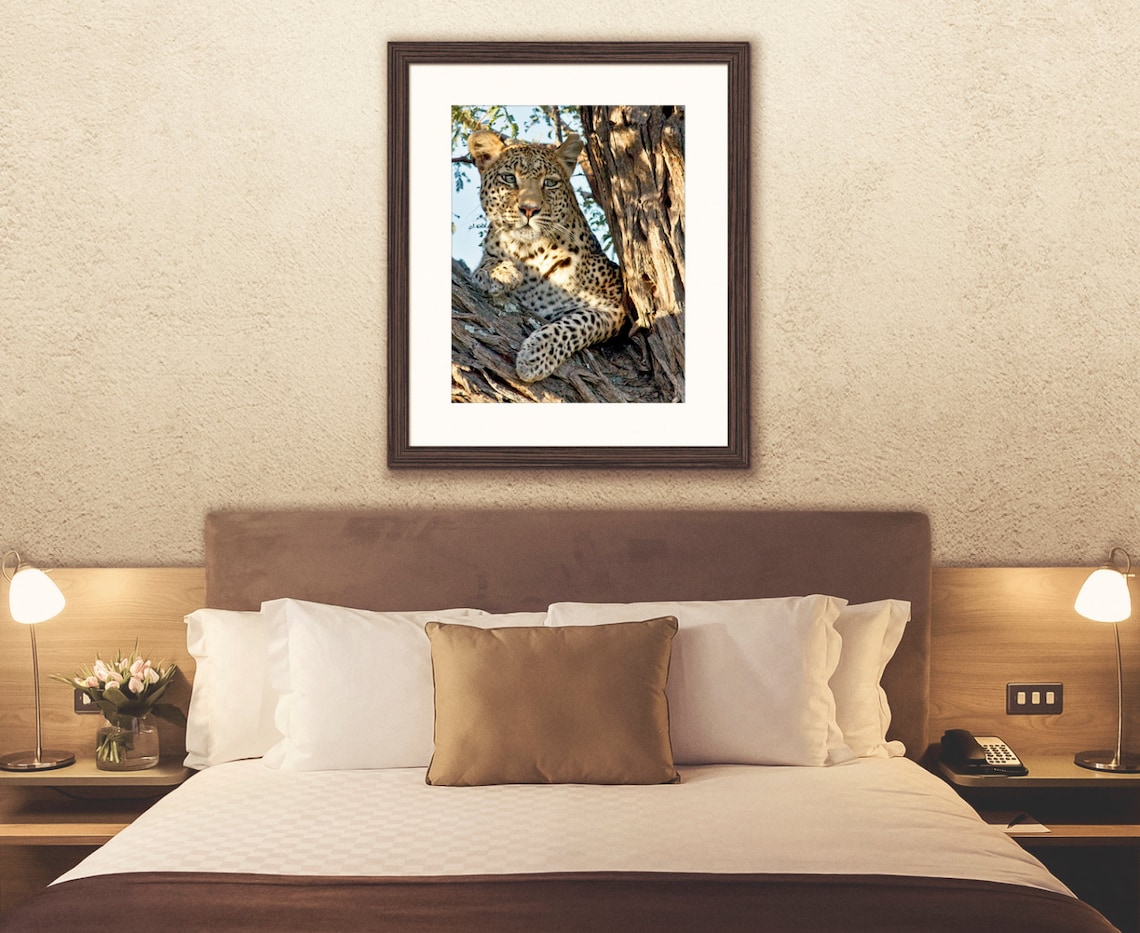 Leopard, Animal Photography, Leopard Print Wall Art, Wildlife ...
