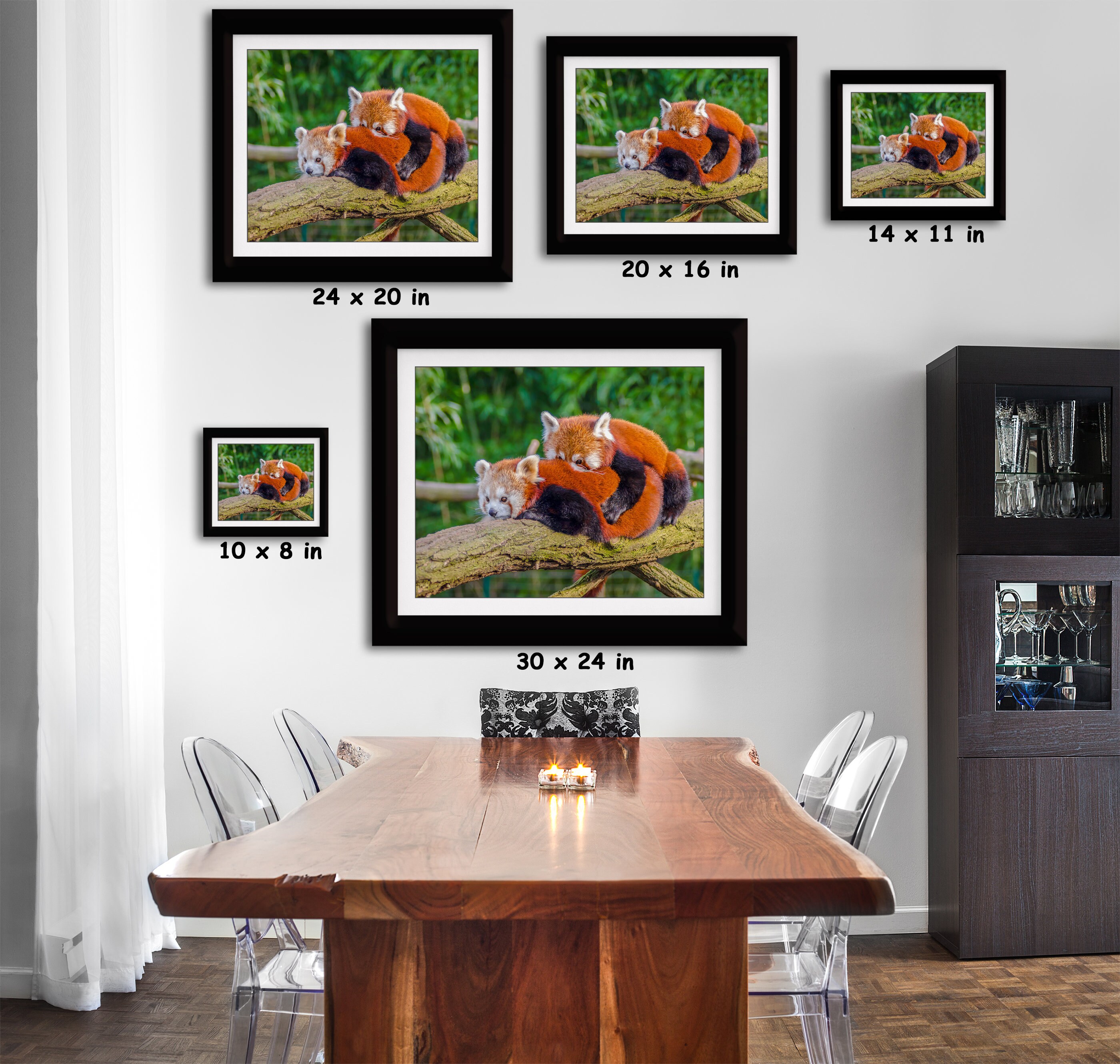 Red Panda Photo, Red Panda Gift, Panda Picture, Girls Room Art Print ...