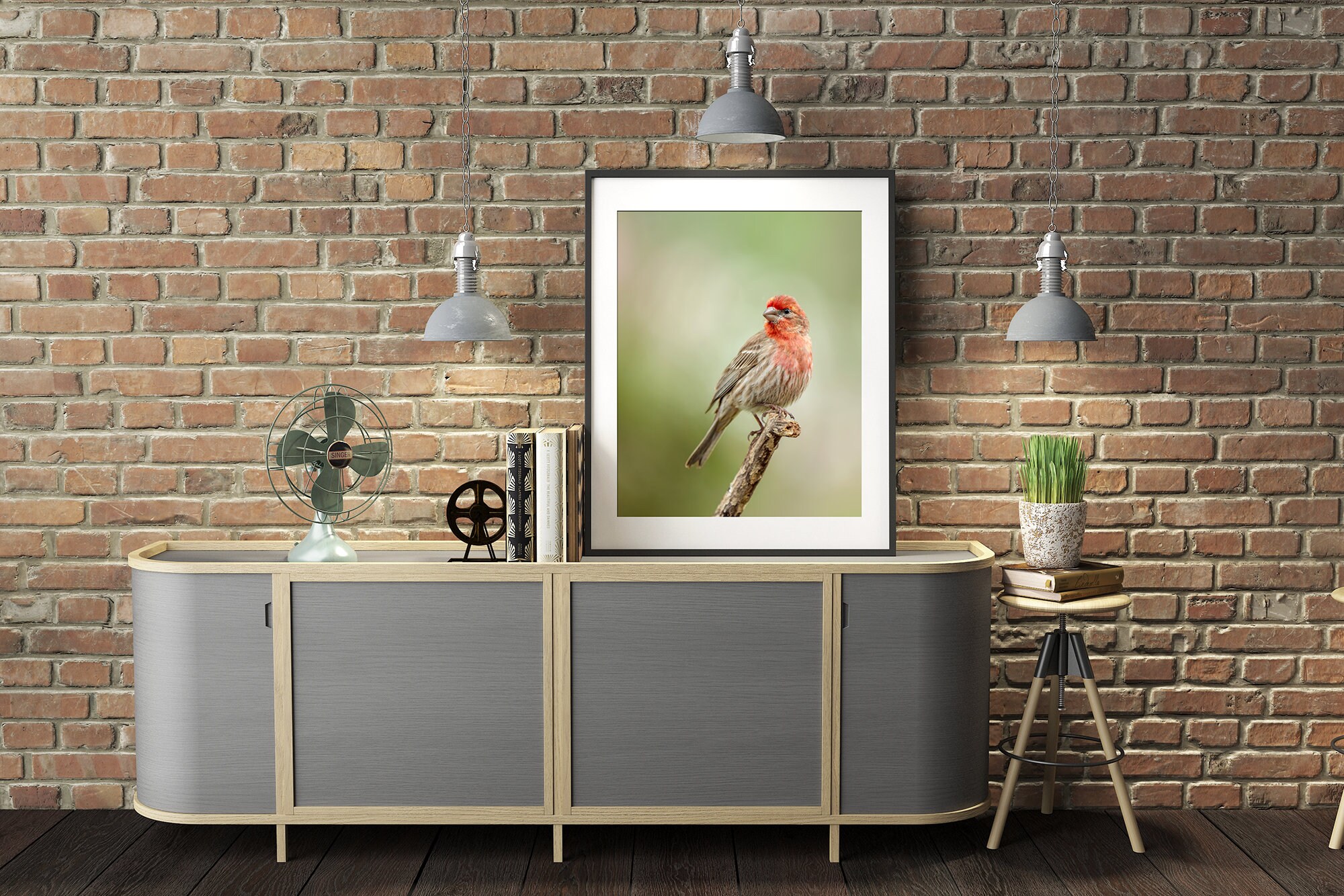 Red Finch Bird, Finch Bird Picture, Finch Wall Art, Bird Wall Art, Bird ...