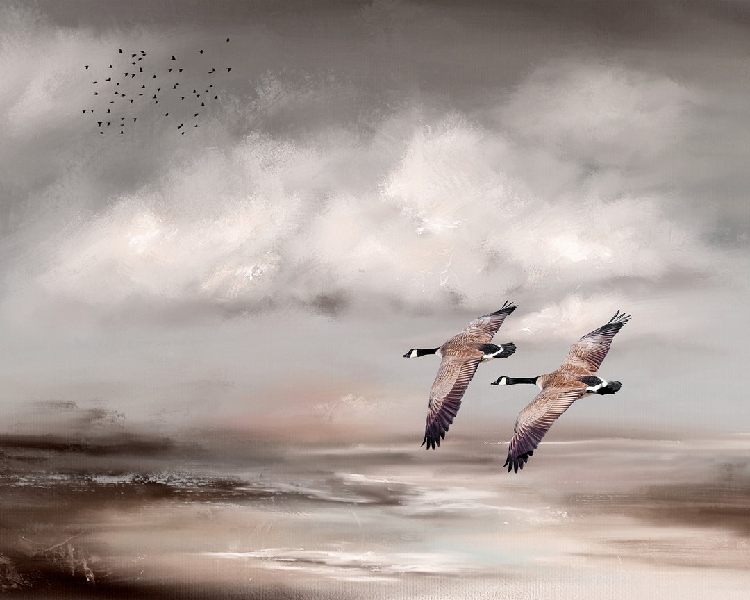 Canada Geese Art Print, Waterfowl Wall Decor, Western Decor, Farmhouse ...
