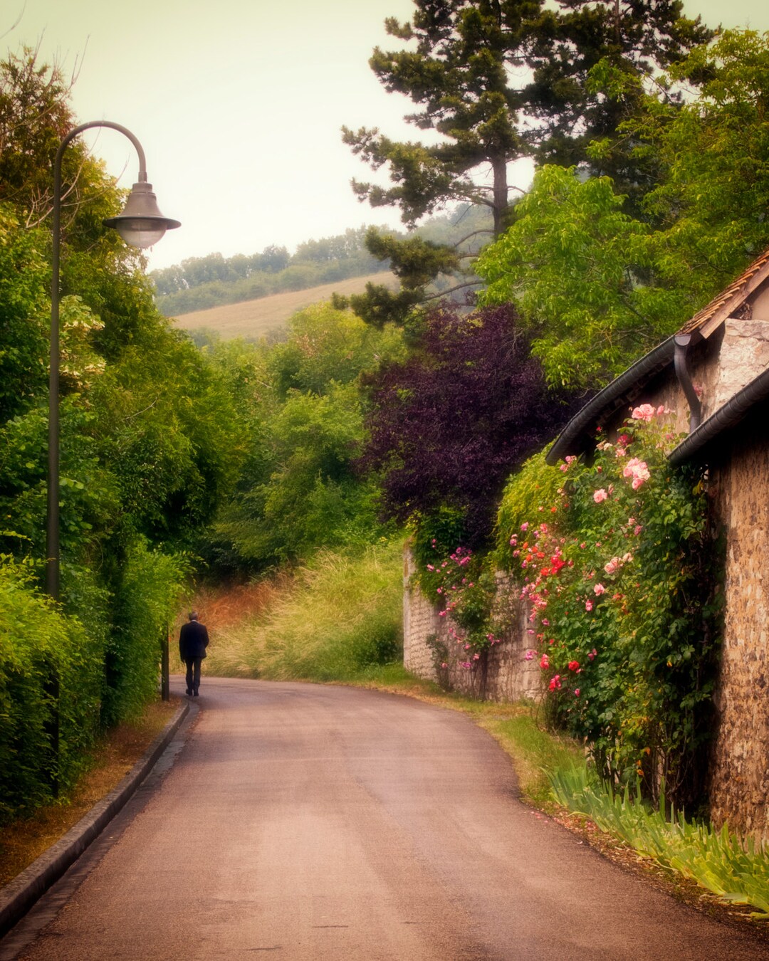 Paris Wall Art, France Wall Decor, Paris Wall Decor, Giverny Wall Art ...