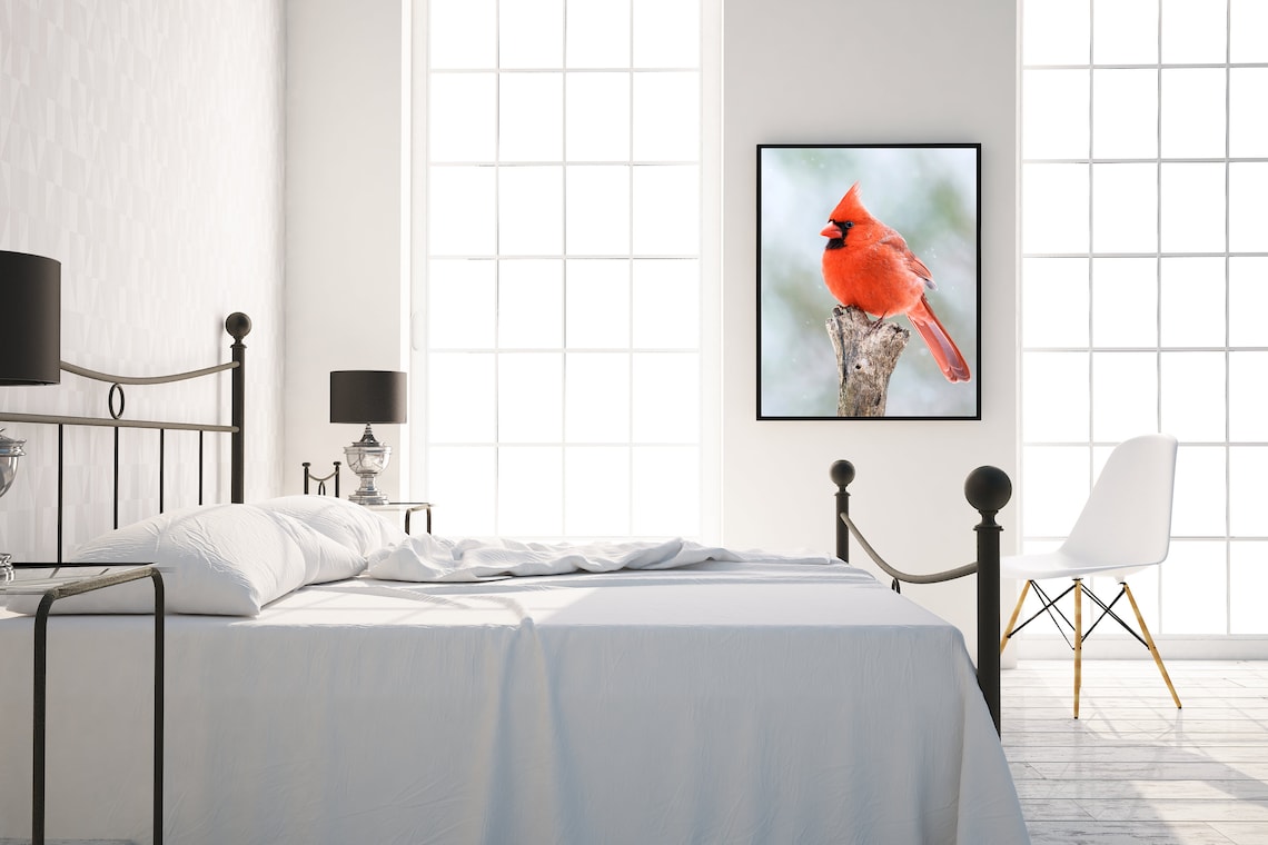 Red Cardinal Bird, Cardinal Gift, Gift for Mom, Bird Photography, Bird ...