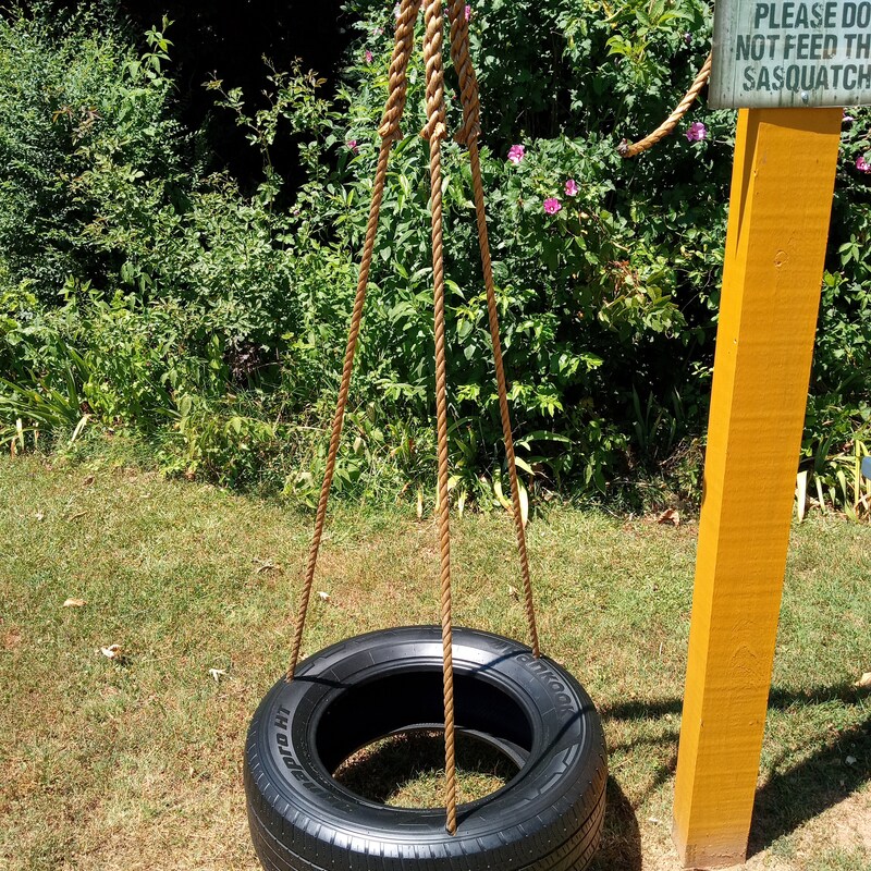 Tire Swing - Etsy