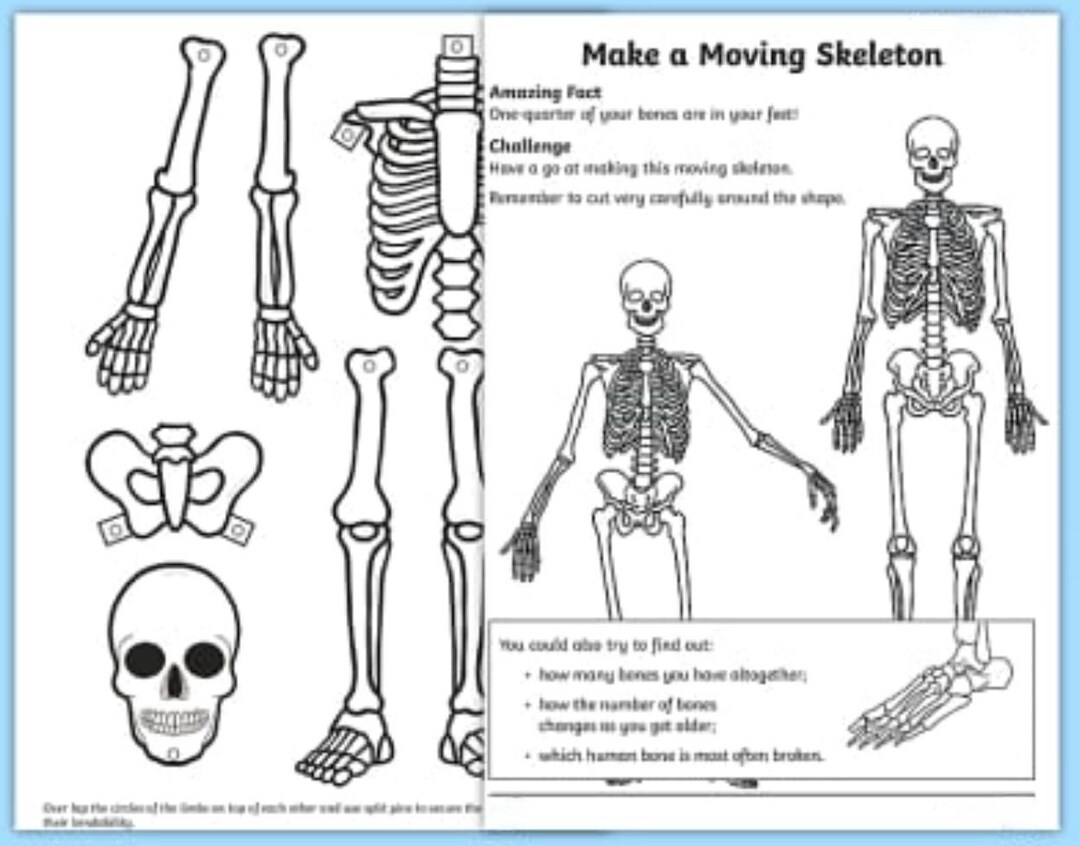 Skeleton Craft Printable: Halloween Cut and Paste Activity (PDF) - Etsy UK