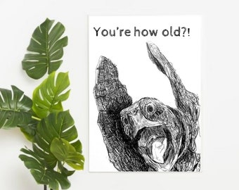 Tortoise Birthday Card Celebration Card Turtle Card Celebrate Card ...