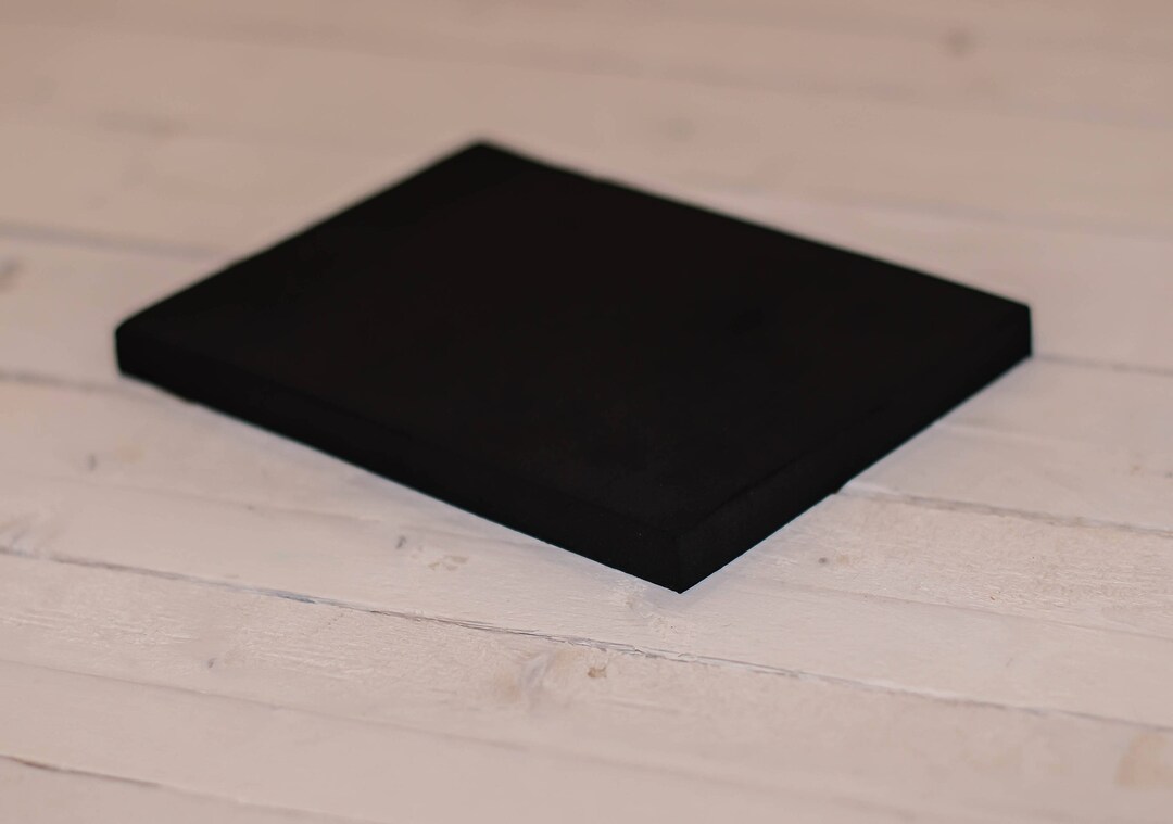 Japanese Professional Hard Sponge Black (pad) for Floristic Works - Etsy