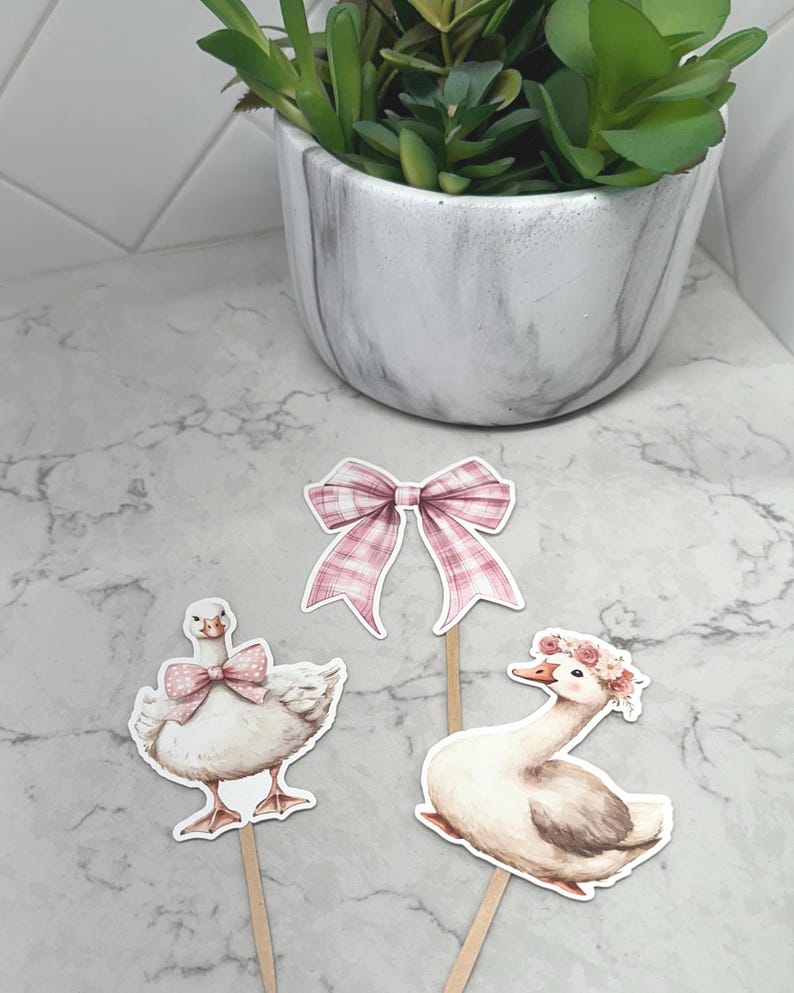 Choose Color - One Silly Goose Cupcake Toppers - One Lucky Duck First ...