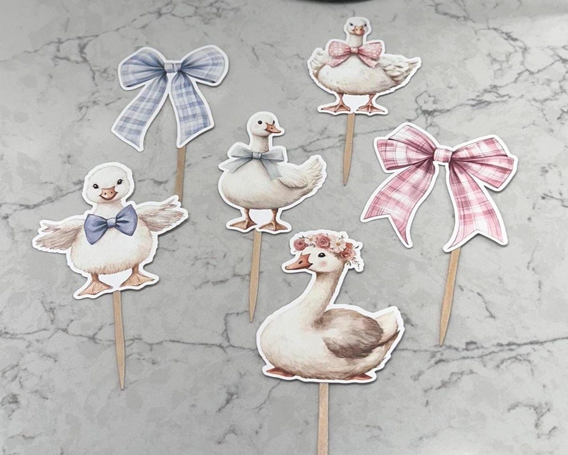 Choose Color - One Silly Goose Cupcake Toppers - One Lucky Duck First ...