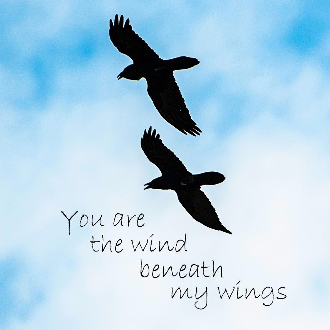 Crows in Flight With "you Are the Wind Beneath My Wings" Saying 8X12 Photographic Print Only - Etsy