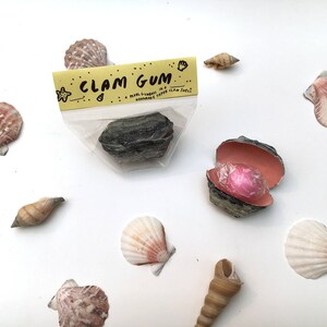 Clam Gum | Etsy