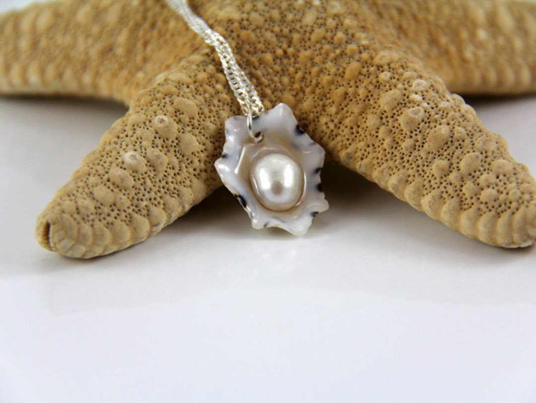 Real Seashell and Fresh Water Pearl Necklace-sea Shell Necklace--dainty ...