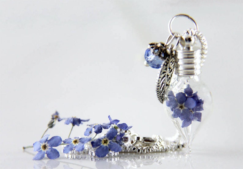 Real Forget Me Not Locket Blue Forget Me Not Necklace Locket - Etsy