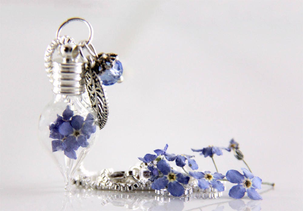 Forget Me Not Jewelry Forget Me Not Necklace Terrarium - Etsy Canada