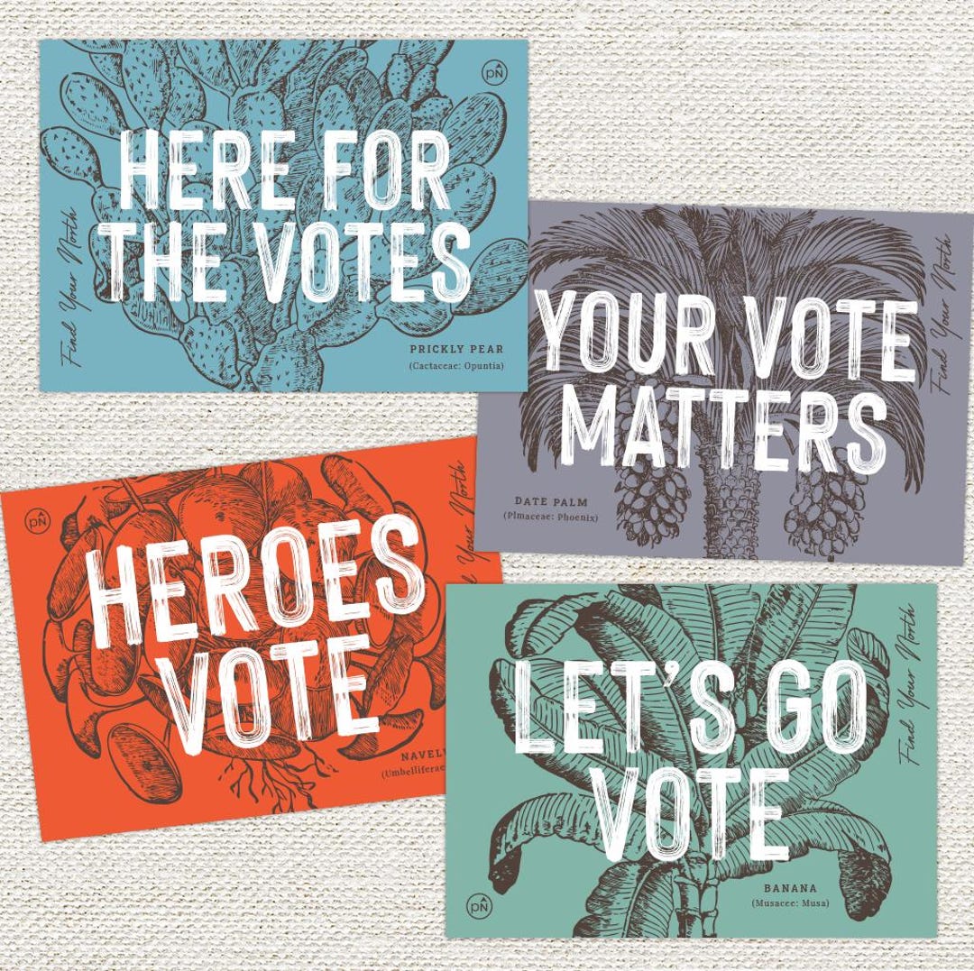 Vote Postcards (set of 4) - Etsy