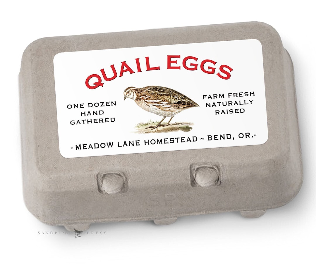 Quail Egg Carton Labels 2 X 4 Rectangle Custom Personalized Stickers ...