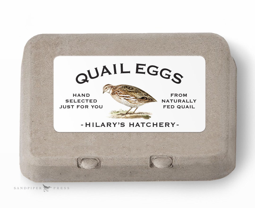 Quail Egg Carton Labels - 2" X 4" Rectangle Custom Personalized ...