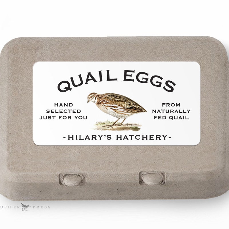 Quail Stickers - Etsy