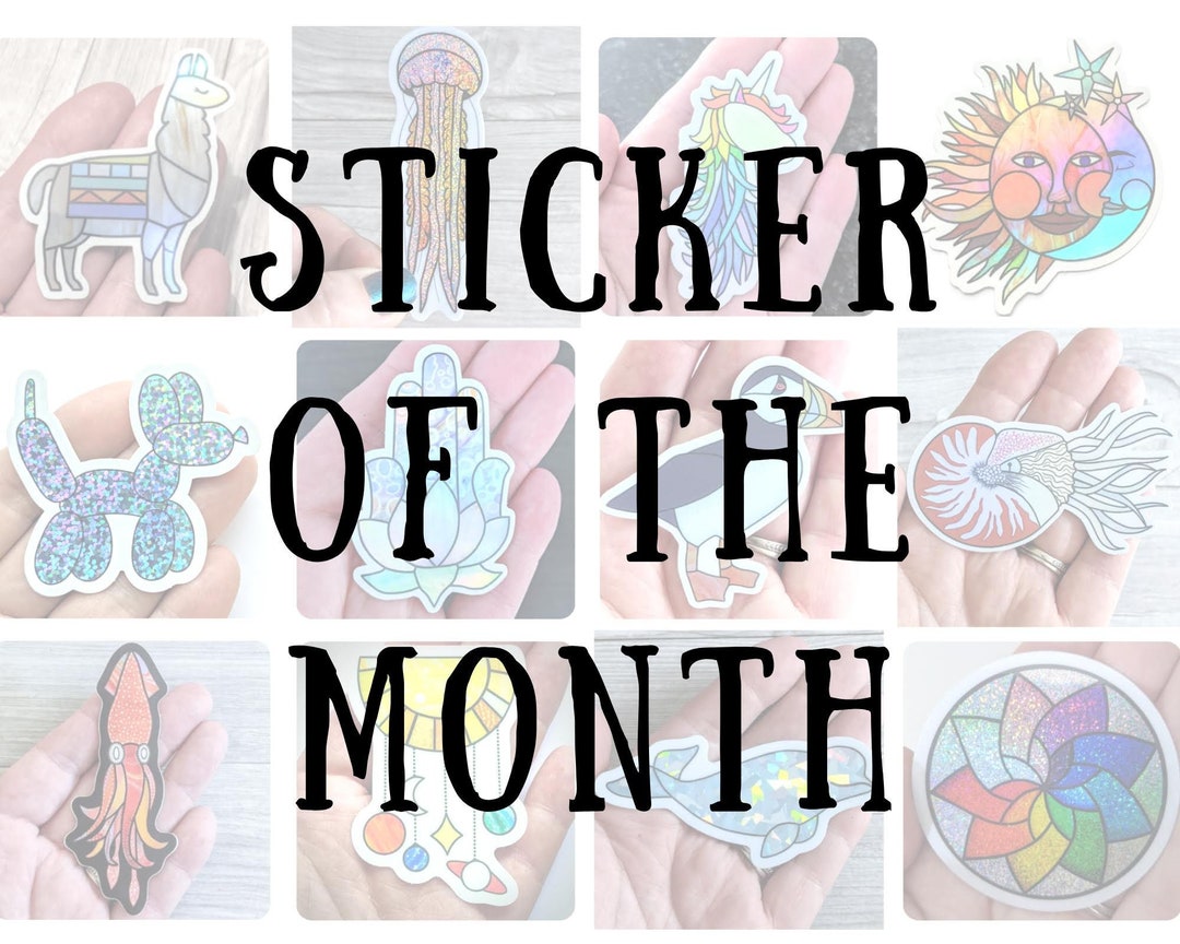 SURPRISE Sticker-of-the-month Subscription - Etsy