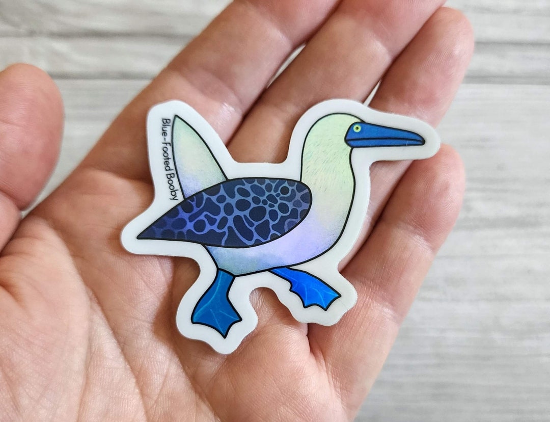 Blue-footed Booby Stained Glass Sticker - Etsy