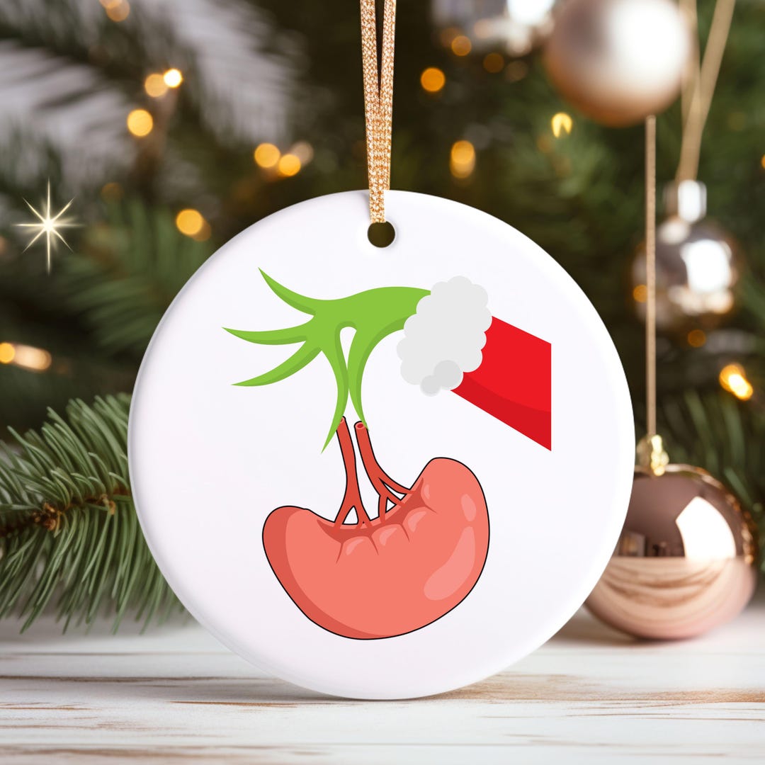 Cute Dialysis Nurse Ornament Funny Nephrology Christmas Crew Gift for ...