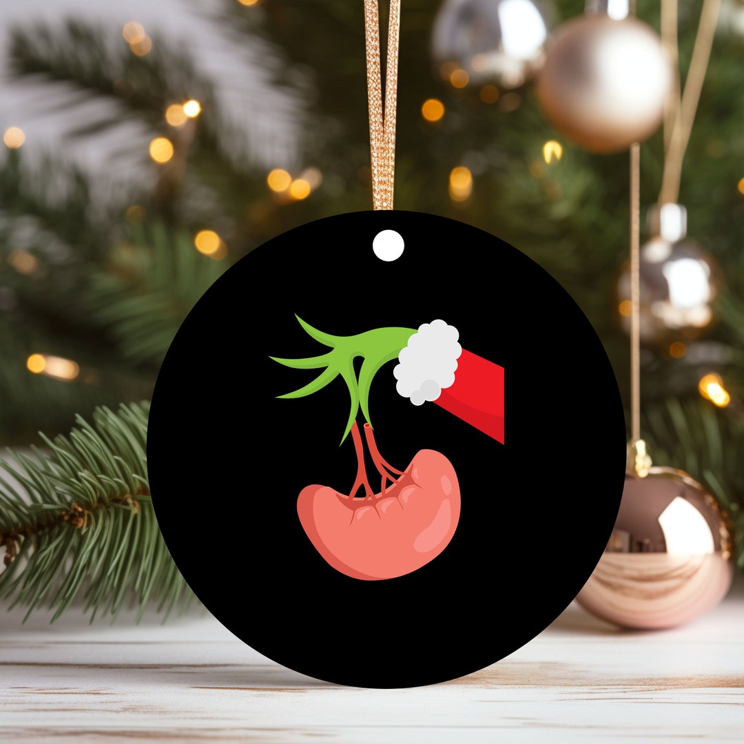 Funny Dialysis Nurse Ornament Nephrology Christmas Crew Gift for Rns ...
