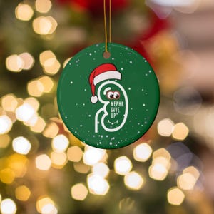 Kidney Christmas Ornament: Nephrology Nurse/dialysis Gift - Etsy