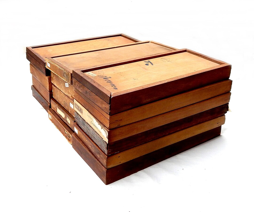 Antique Watchmaker's Drawers, Jeweler's Storage Drawers, Brocante, for ...
