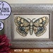 Brahmin Moth Specimen Cross Stitch Pattern - Etsy