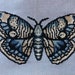 Brahmin Moth Specimen Cross Stitch Pattern - Etsy