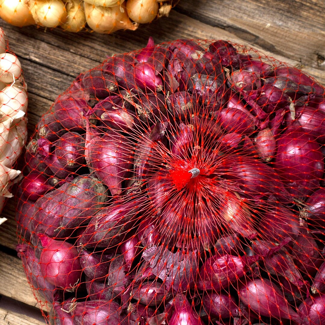 Red Onion Sets Naturally Grown | 50 - 60 Red Baron Onion Bulbs - Non ...