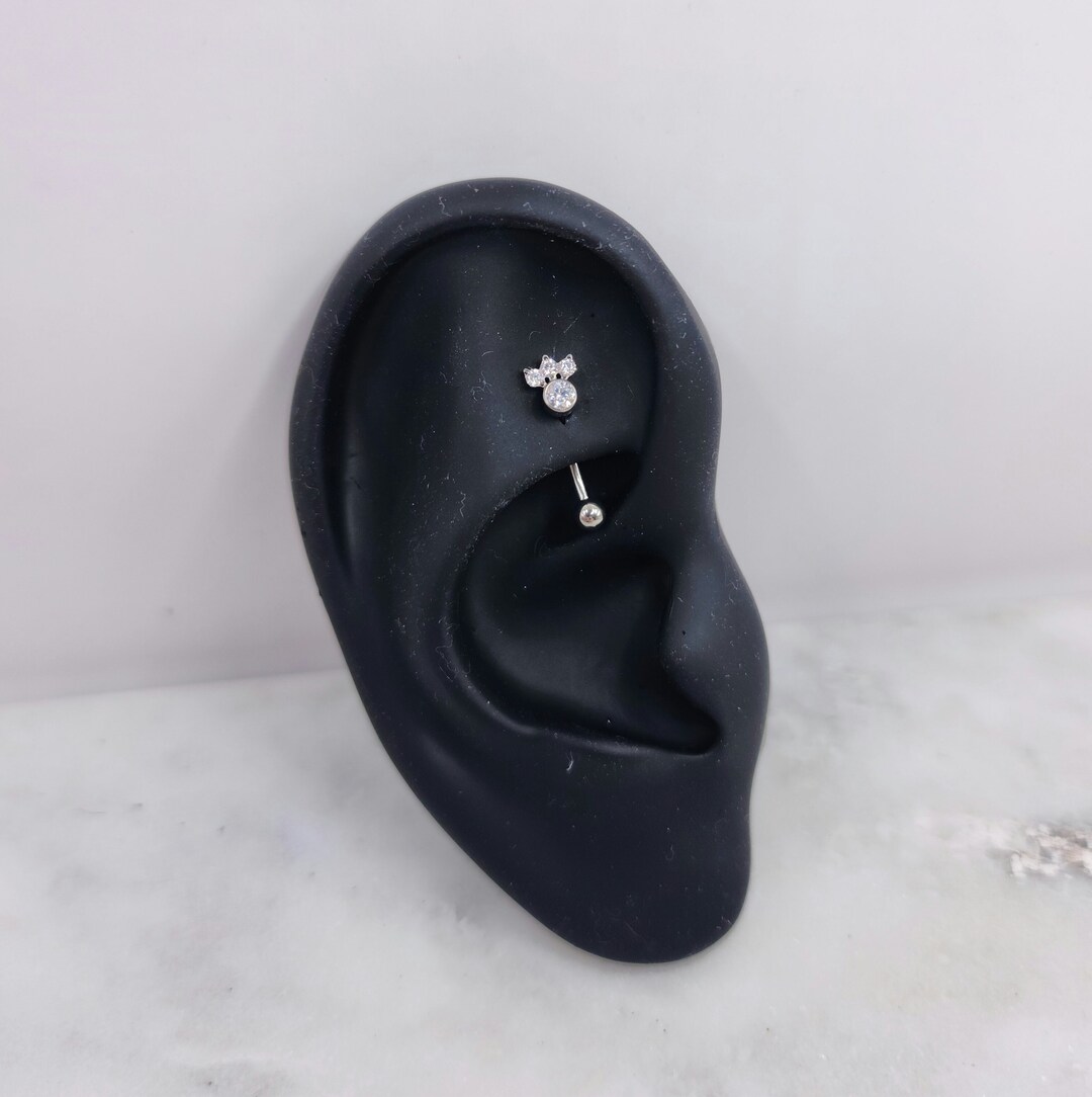 16g Titanium ASTM F136 Internal Threads Rook Ashley Eyebrow Ring ...