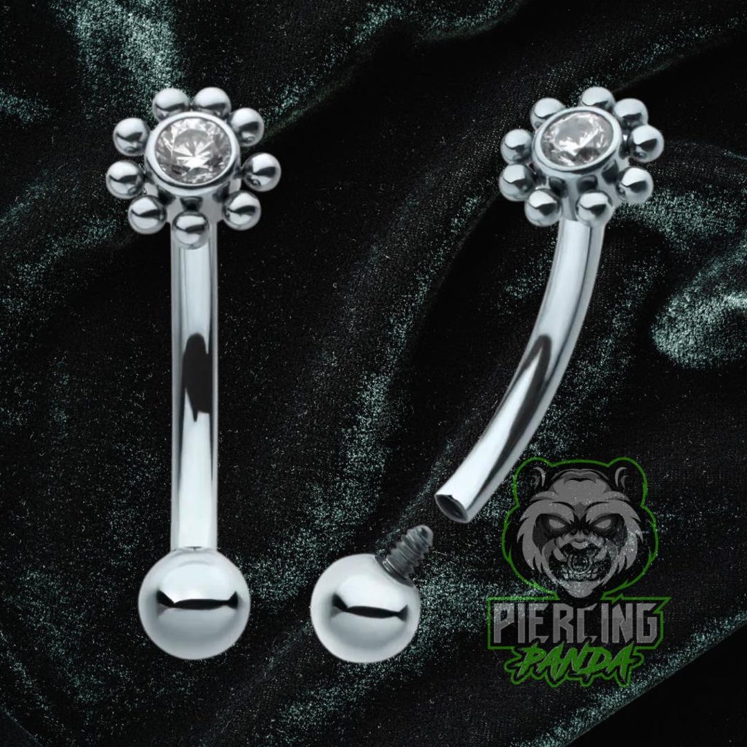 16g Titanium ASTM F136 Internal Threads Rook Ashley Eyebrow Ring ...