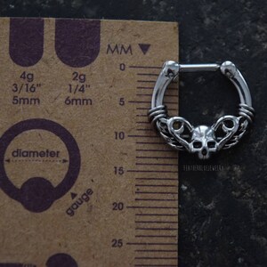 16g Skull Horns Solid Surgical Steel Septum Clicker 1/4 6mm Nose Ring Daith No Rust Jewelry ...