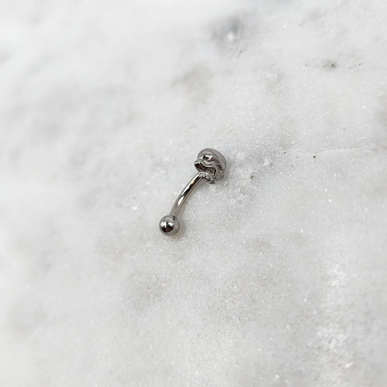 16g 8mm Steel Skull Rook Eyebrow Piercing Curved External - Etsy