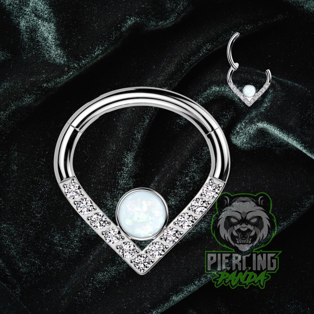16g Titanium Implant Grade Micro Gem Paved Opal Hinged Segment Septum ...