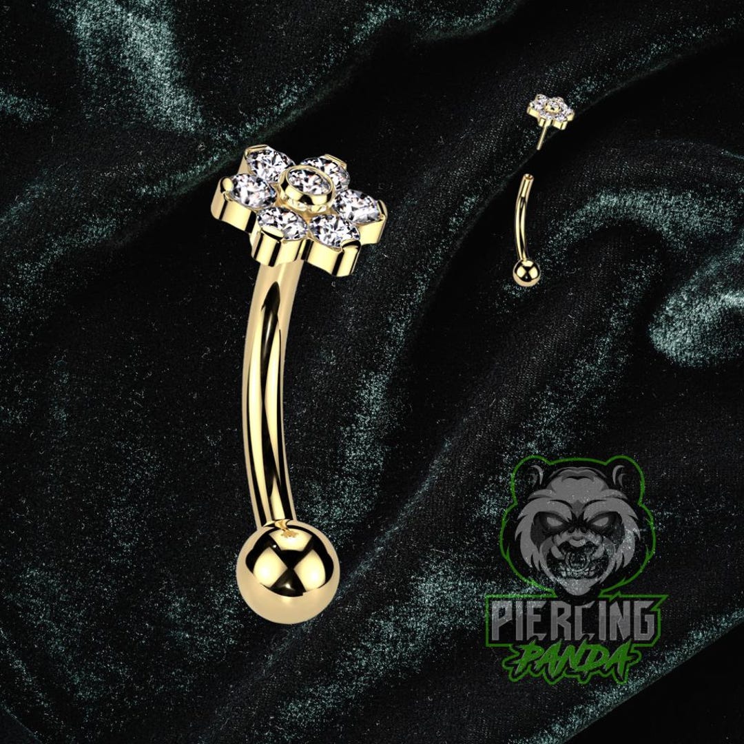 Titanium Threadless ASTM F136 16g 8mm Gold Flower Eyebrow Ashley Rook ...