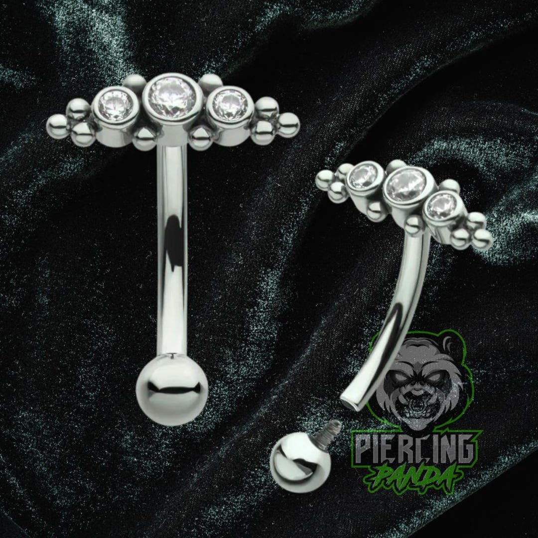 16g Titanium ASTM F136 Internal Threads Rook Ashley Eyebrow Ring ...