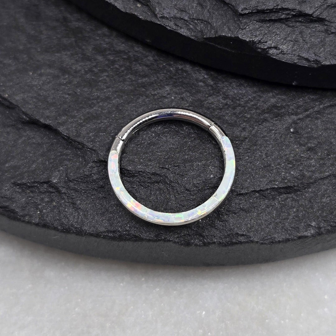 16g Titanium Implant Grade Paved White Opal Stone Hinged Segment Septum ...