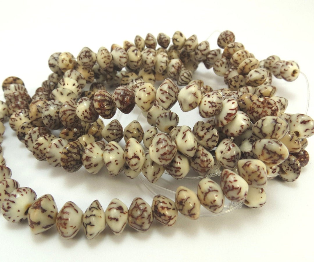 Betel Nut Wood Beads, 8x6mm Double Cone Beads, 16" Inch Strand Item ...