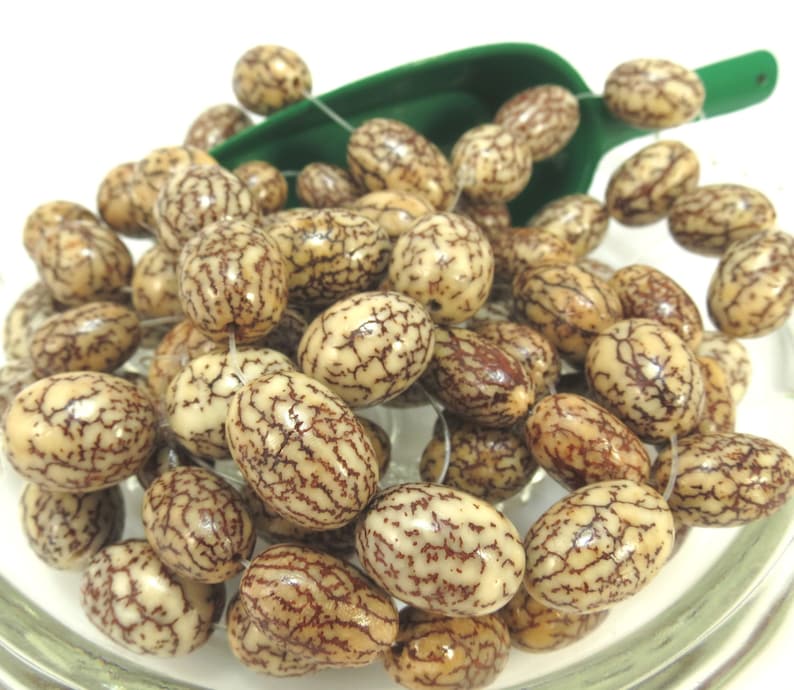 9x12mm Betel Nut Beads 16 Inch Strand Beading - Etsy
