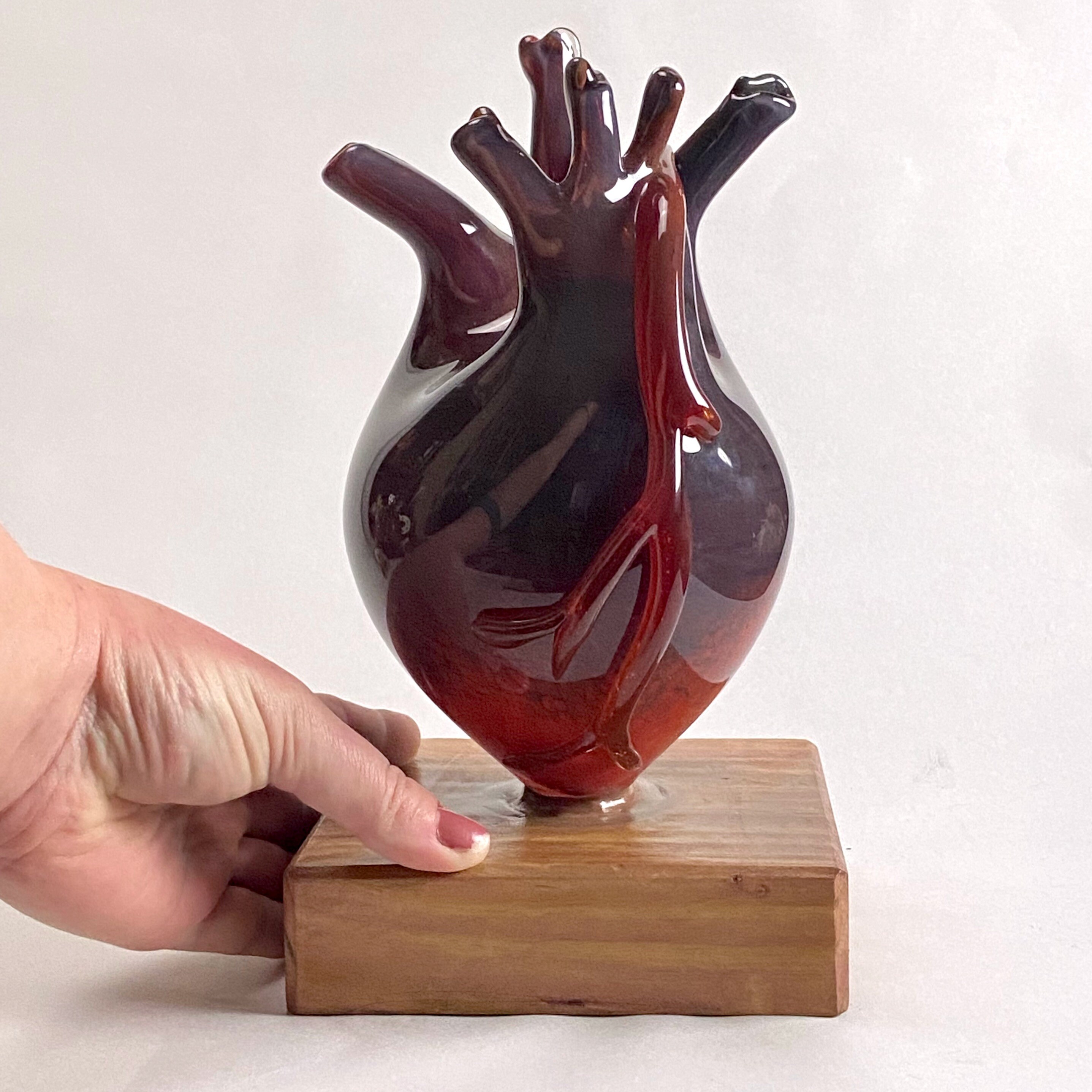Hand Blown Red Glass Anatomical Heart Silver Leaf, Cardiologist, Doctor ...