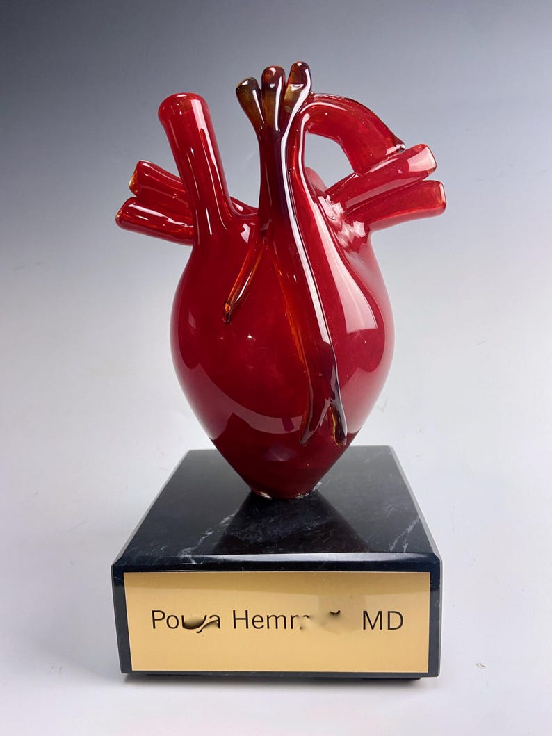 Hand Blown Anatomical Glass Heart, Cardiologist, Doctor Gift, Award - Etsy